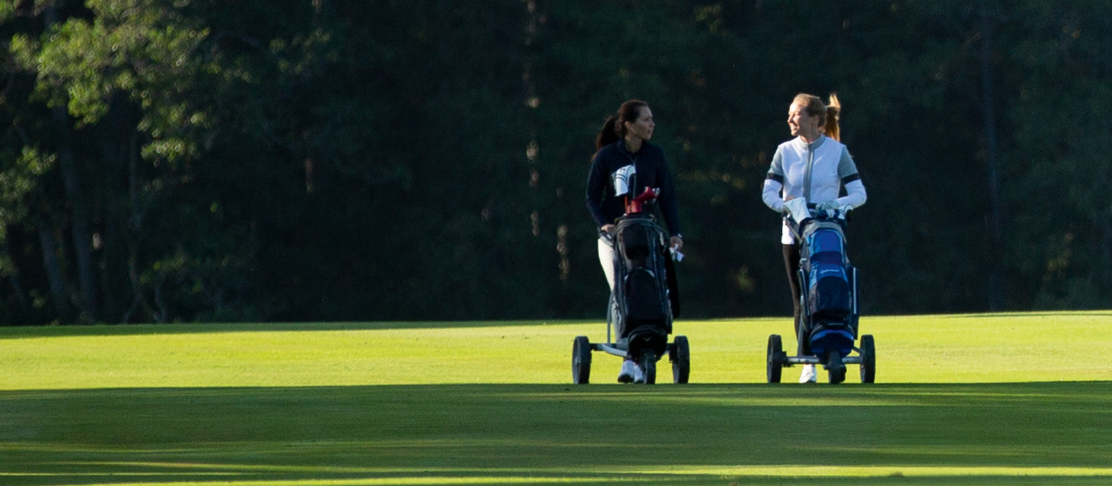 Golfvagnar – rätt modell gör rundan enklare - Arninge GK